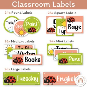 Spring Ladybug Classroom Decor Bundle, Editable Nature Theme Essentials ...