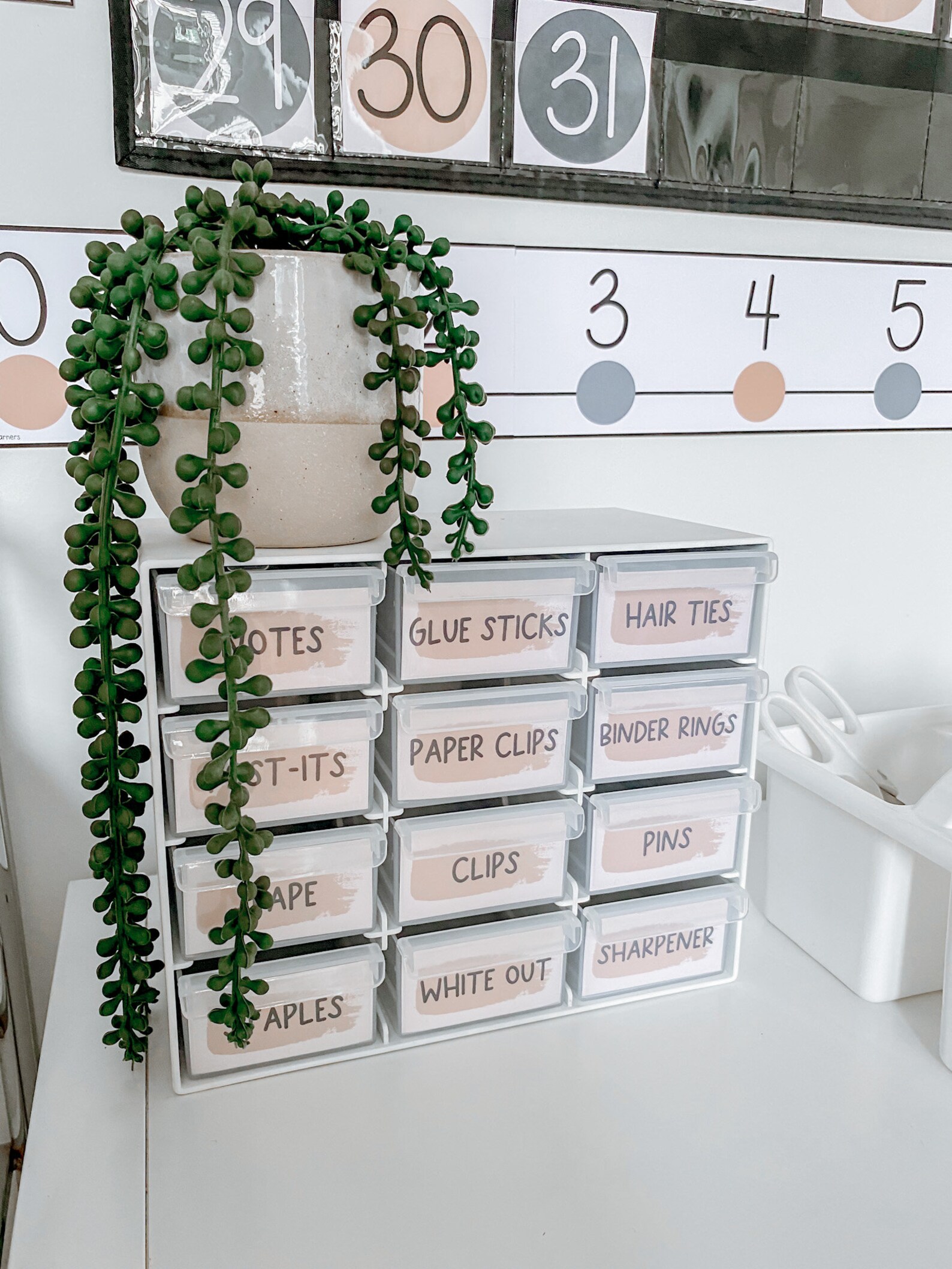 Modern Boho Plants Teacher Toolbox Labels Editable Rustic - Etsy