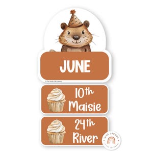 Woodland Birthday Display Printable, Editable Nature Theme Classroom ...