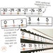 BOHO NEUTRAL Classroom Number Line Display With Negatives - Etsy