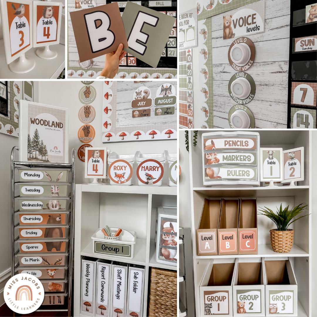 Woodland Classroom Decor Bundle, Cozy Nature Forest Friends Animals ...