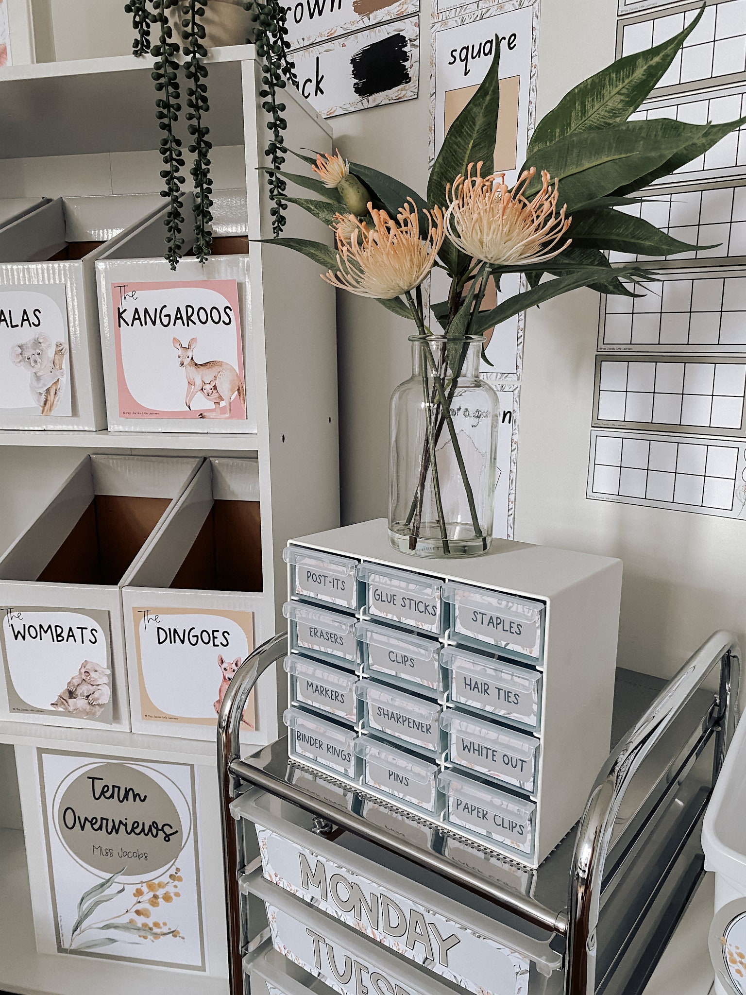 AUSTRALIANA Classroom Decor Bundle Australian Animals and - Etsy Australia