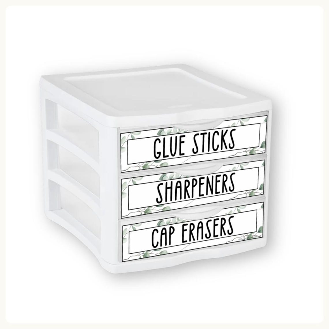 Editable Classroom Labels, Modern Botanical Name & Supply Tags, Tray ...