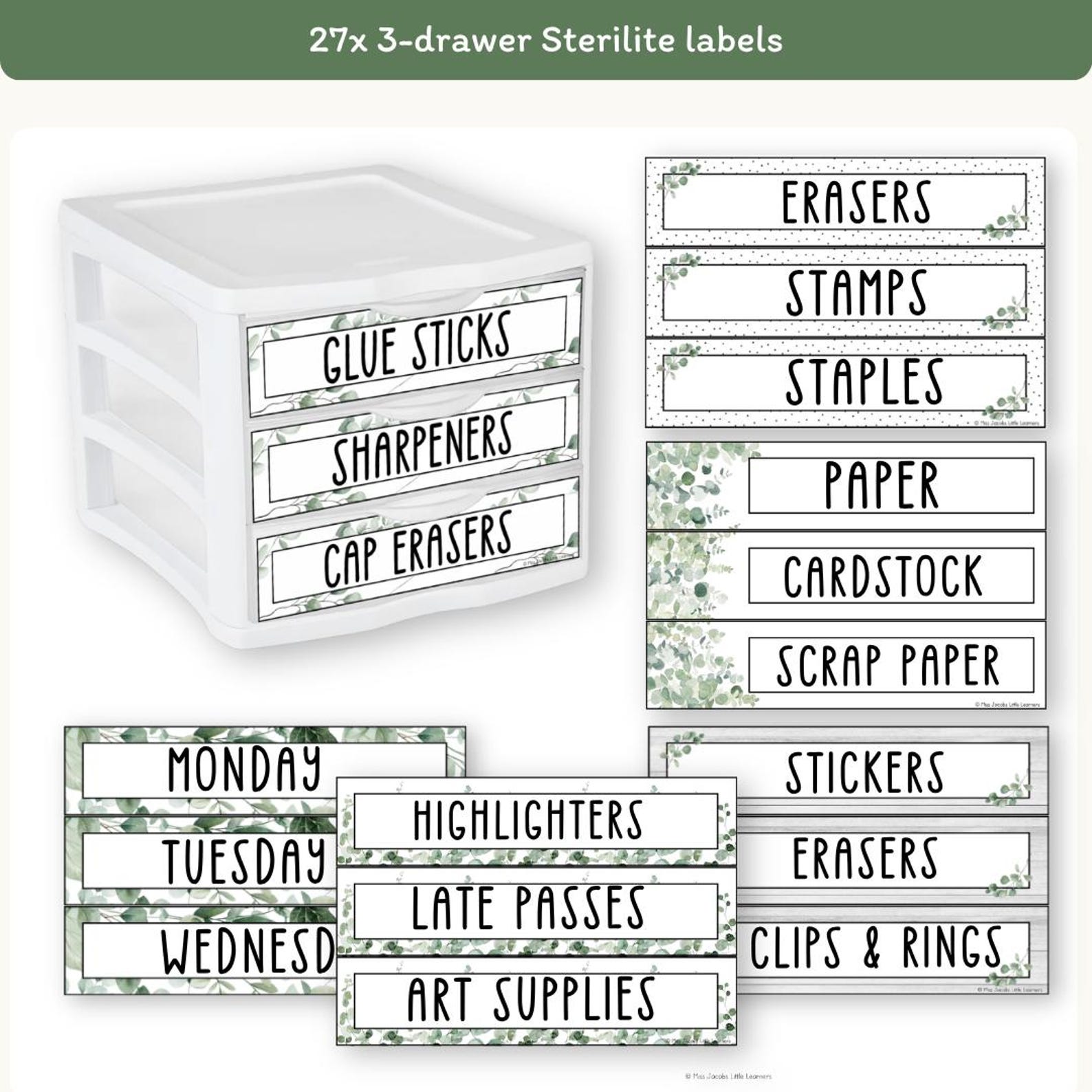Editable Classroom Labels, Modern Botanical Name & Supply Tags, Tray ...