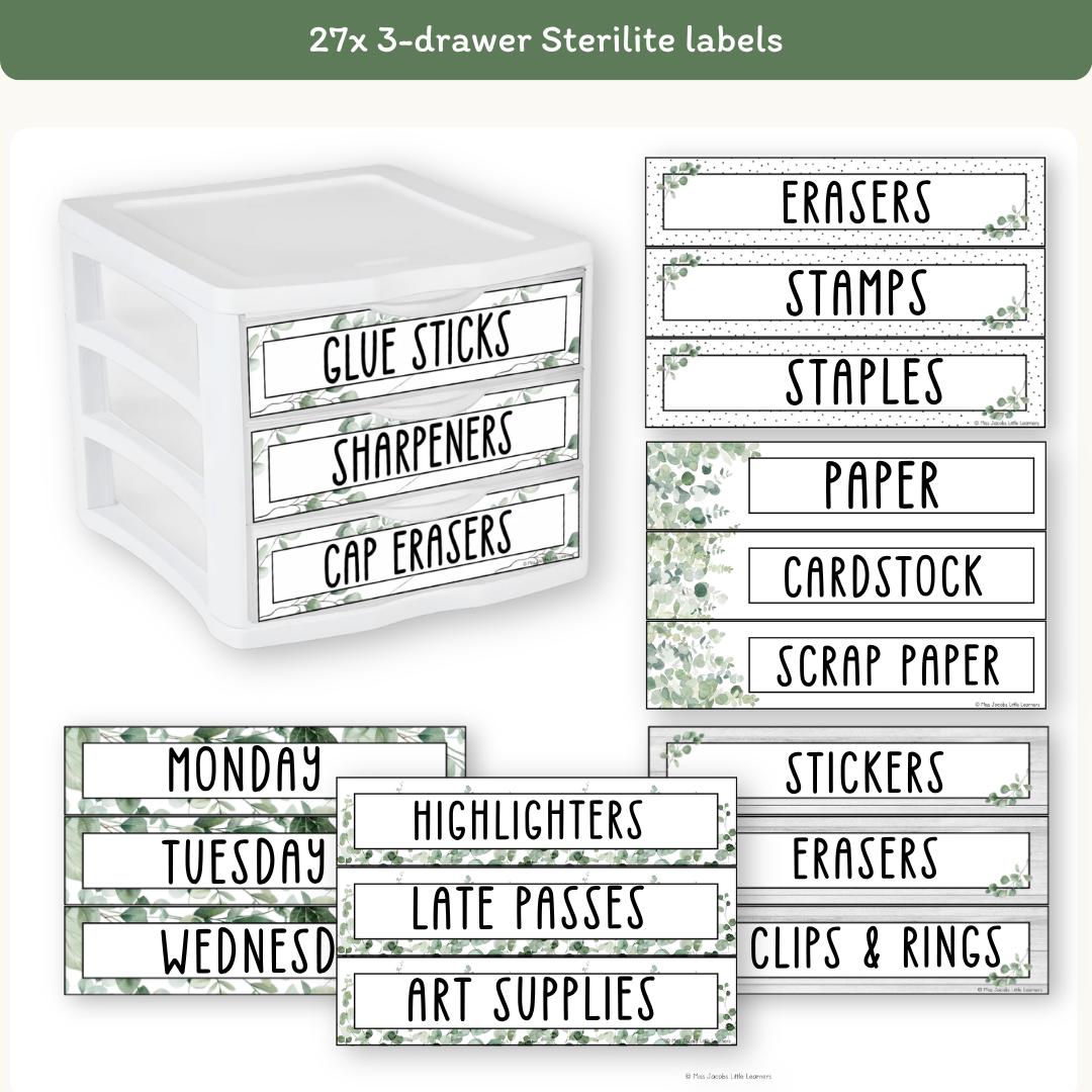Editable Classroom Labels, Modern Botanical Name & Supply Tags, Tray ...