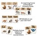 Rustic Modern Boho Alphabet Posters With Animal Images | Editable - Etsy