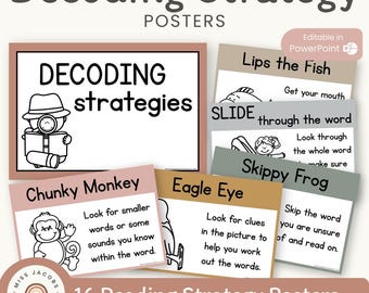 NEUTRAL Decoding Reading Strategy Posters | Boho Color Palette ...