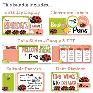 Spring Ladybug Classroom Decor Bundle, Editable Nature Theme Essentials ...