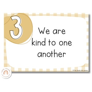 Classroom Rules Posters and Classroom Management Slips Daisy Gingham ...