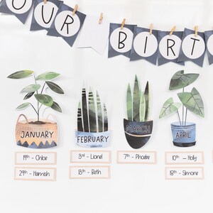Modern Boho Plants Birthday Display | Rustic Boho Classroom Decor ...