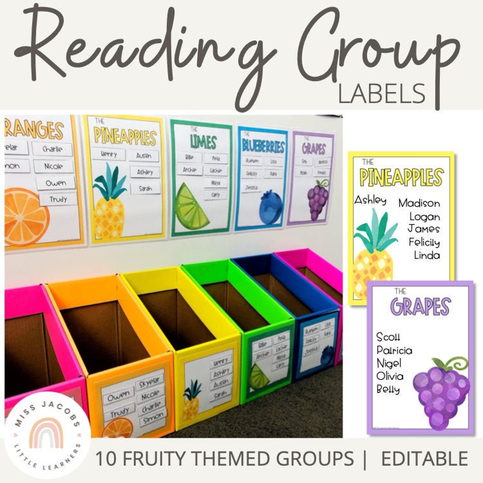 TROPICAL Reading Groups Posters & Labels Editable Tropical Classroom ...