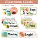 Insects Theme Classroom Decor Bundle, Editable Spring Bugs Set Teacher ...