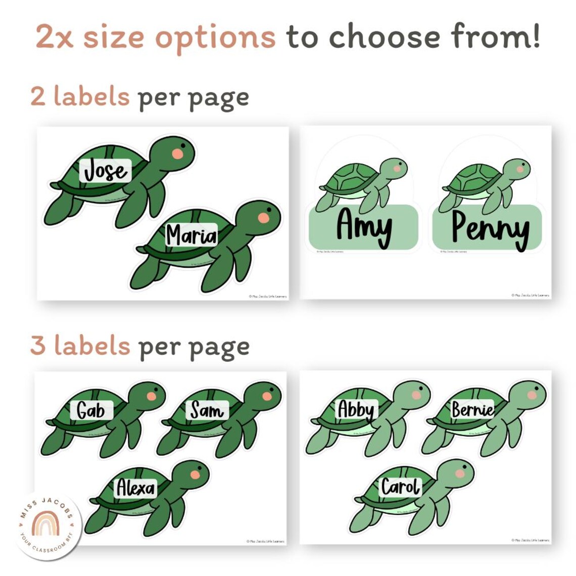 Turtle Door Display Set, Editable Welcome Door Signs + Student Name ...