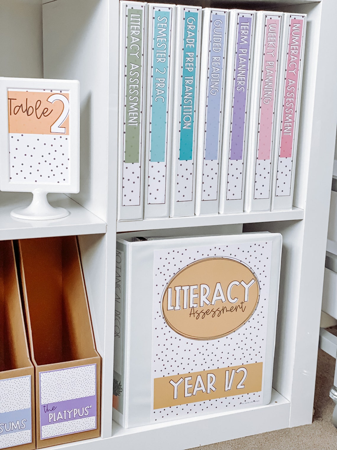 Binder Covers and Spines SPOTTY BRIGHTS Editable - Etsy