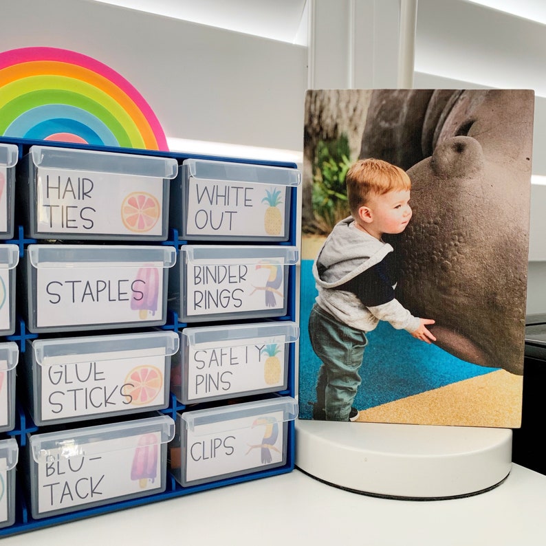 TROPICAL Teacher Toolbox Editable Tropical Classroom Decor | Etsy