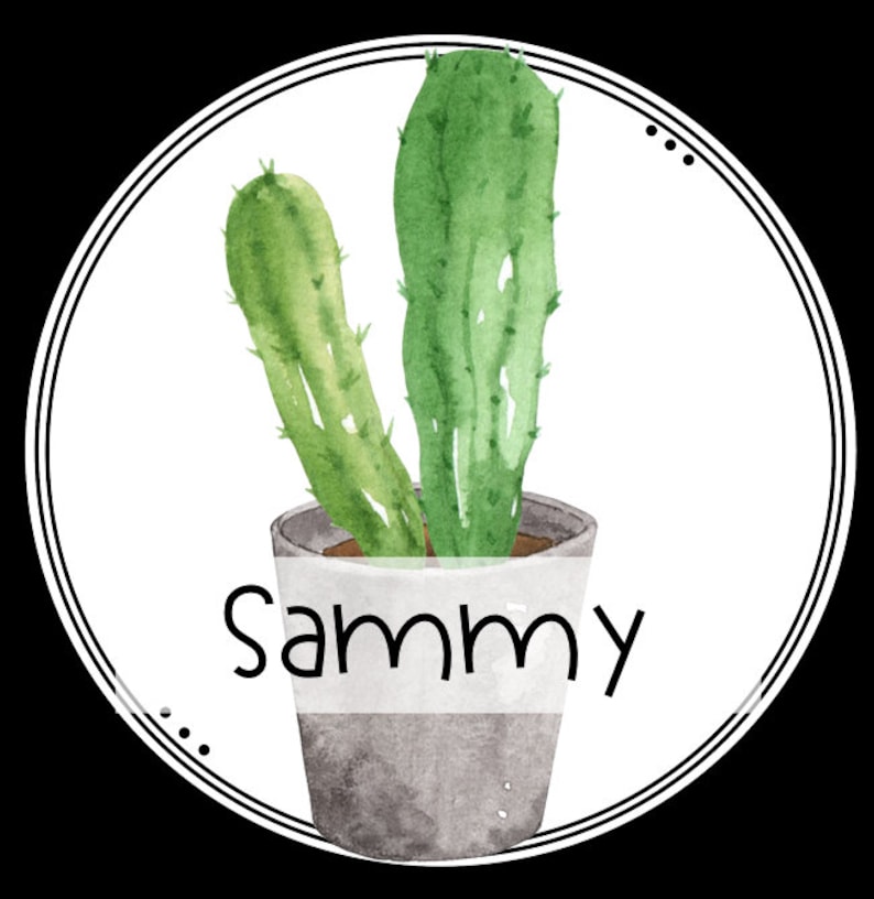 CACTUS Door Display Cactus Classroom Decor - Etsy