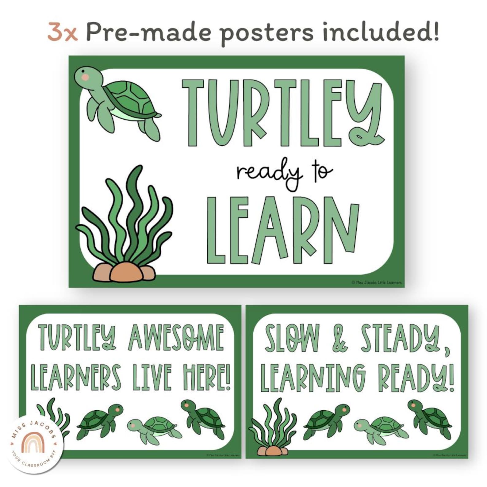 Turtle Door Display Set, Editable Welcome Door Signs + Student Name ...