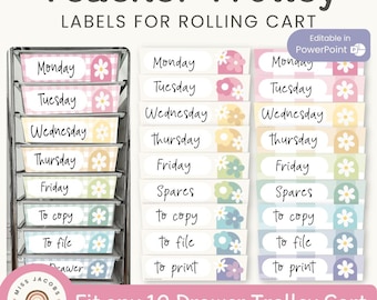 Teacher Trolley Labels | 10 Drawer Cart Labels in Daisy Gingham ...