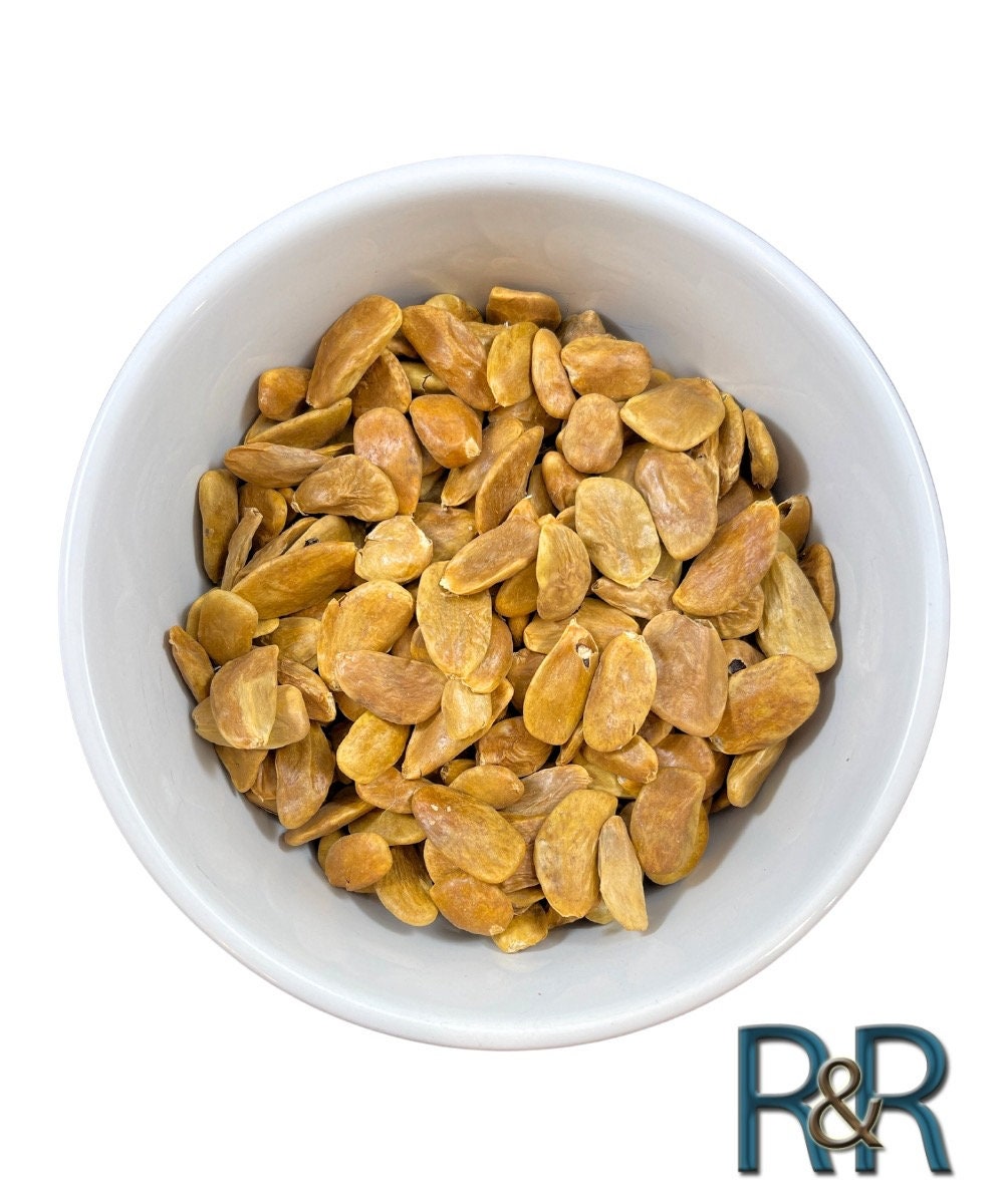 Organic African Akuamma Whole Seeds Picralima Nitida - Etsy