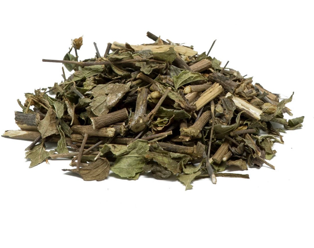 Mexican Pericon Santa Maria Tagetes Lucida Marigold Aztec - Etsy