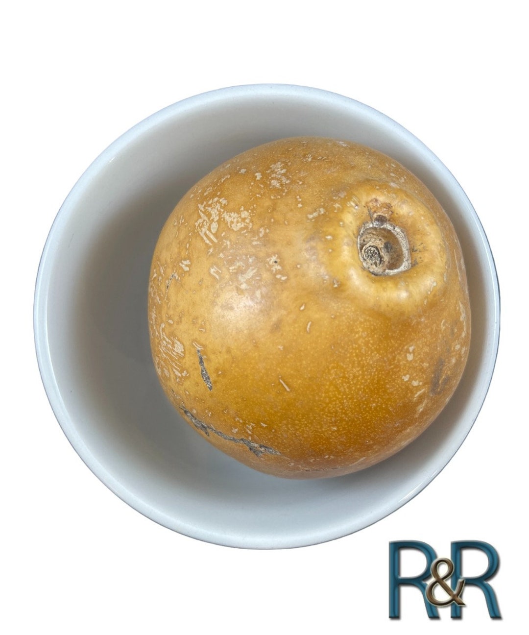 Traditional Mexican Whole Guaje Cirial PROMOCIÓN Organic - Etsy