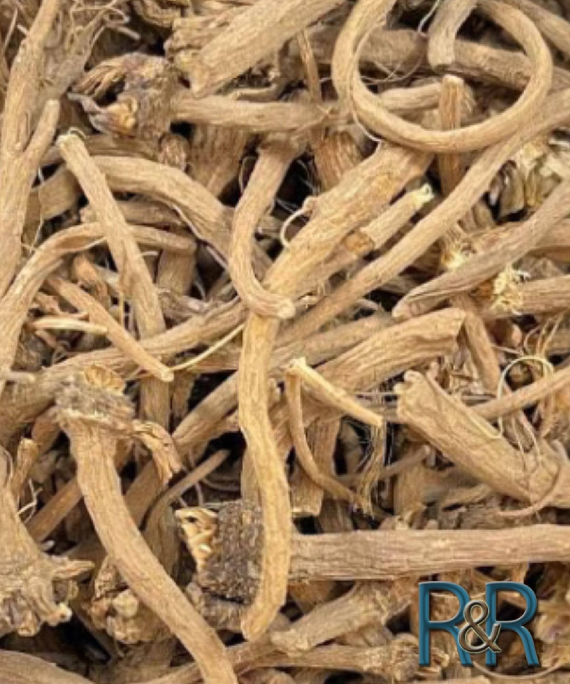AKARKARA Roots Whole Herb Indian Anacyclus Pyrethrum - Etsy