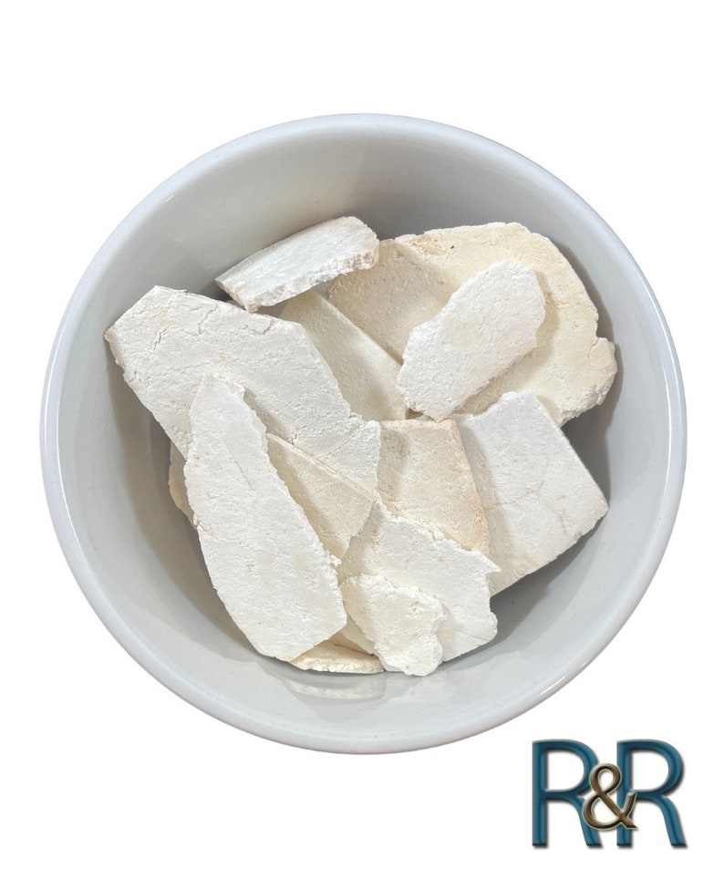 Poria Chinese Mushroom Fungus Herb ( Fu Ling ~ Poria Cocos ) - Etsy