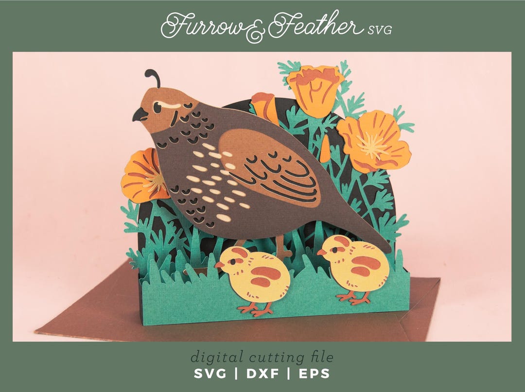 Quail & Chicks Card | 3D Mother's Day Pop up Card SVG | 3D Papercut SVG ...
