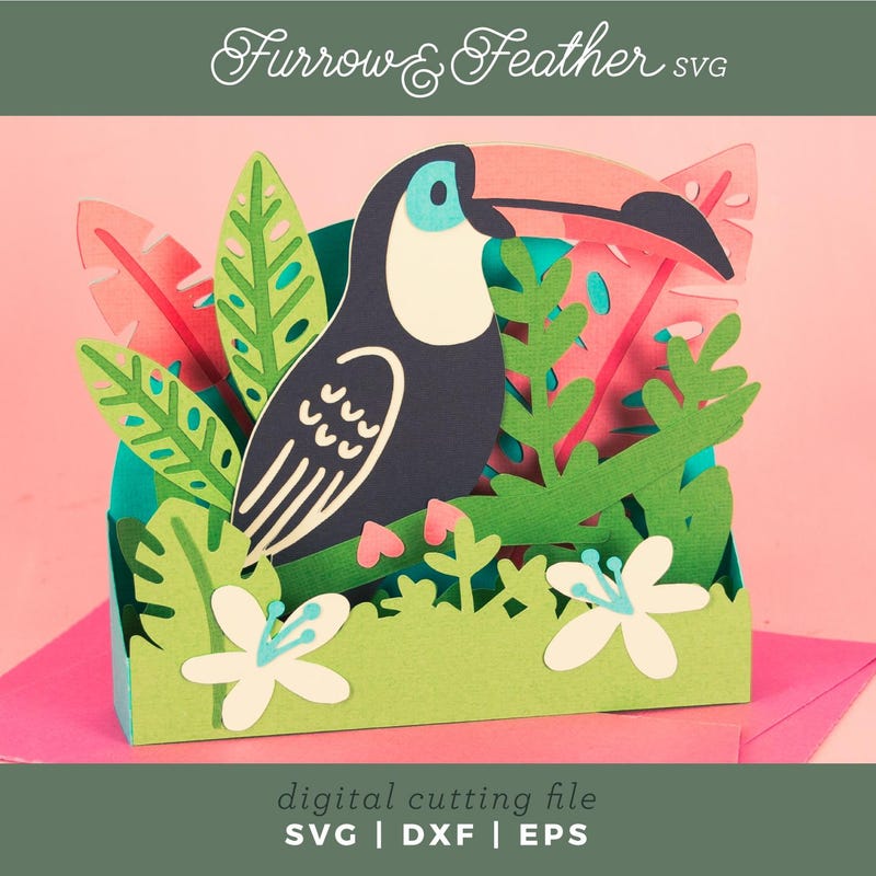 Toucan Svg - Etsy