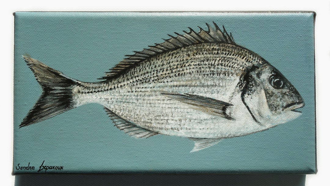 Royal Sea Bream Painting Fish Ocean Sea Portrait Painting Acrylic ...