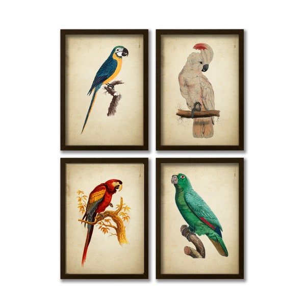 Tropical Bird Poster - Etsy