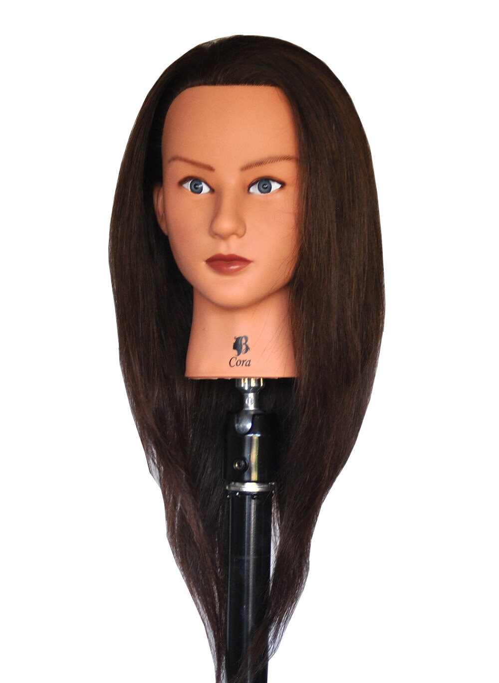 22" Cosmetology Mannequin Training Head – Brown Human Hair, With Clamp ...