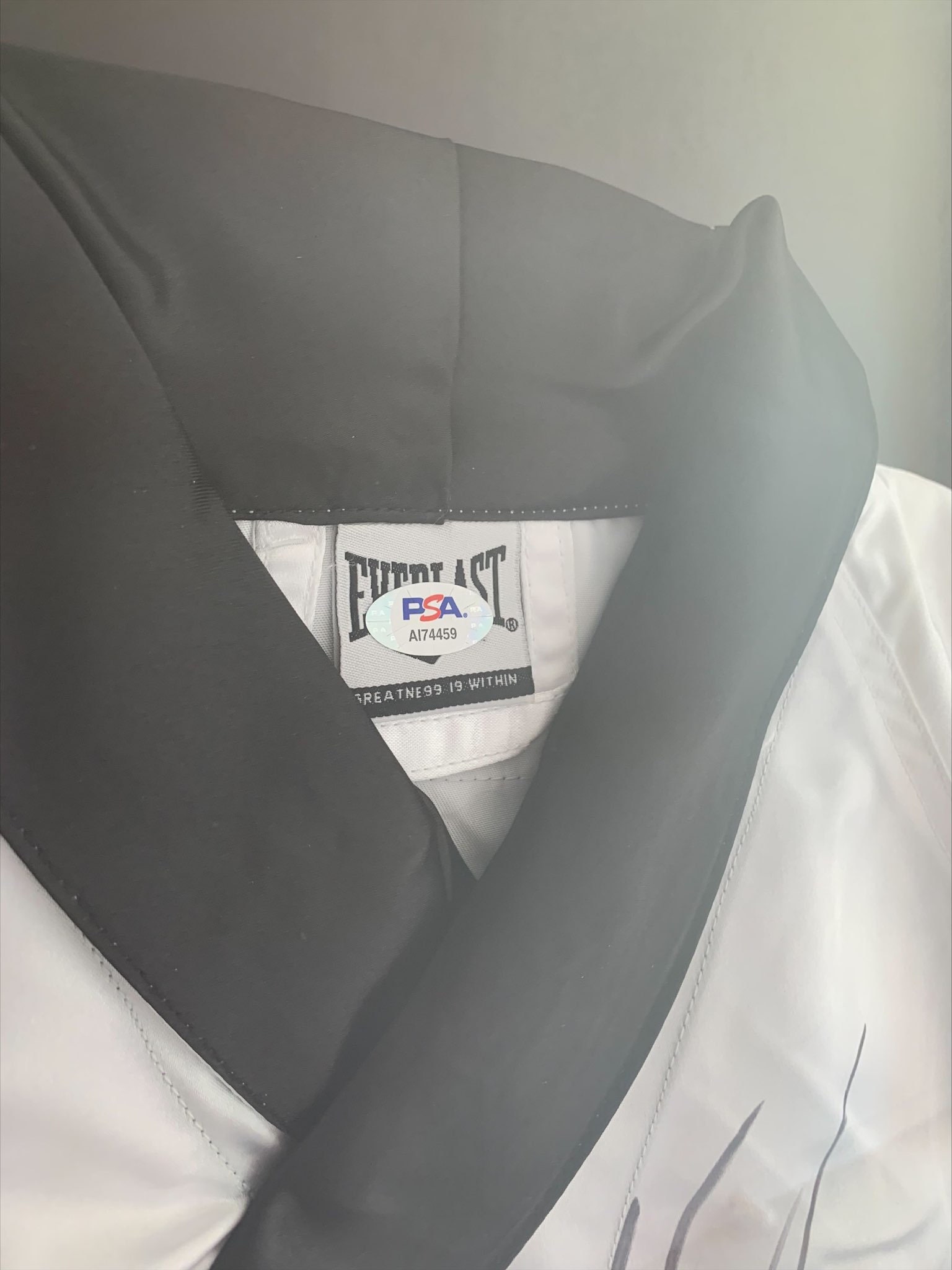 Mike Tyson Signed Authentic Everlast Robe With PSA Authentication - Etsy