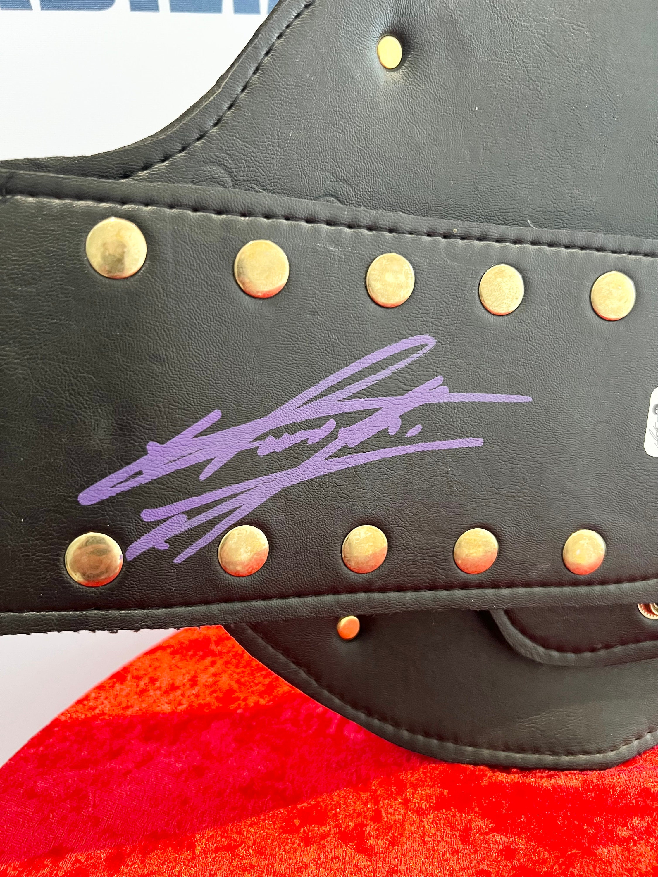 The Undertaker Signed Autographed Championship Belt Jsa Wwe Wwf Rare - Etsy