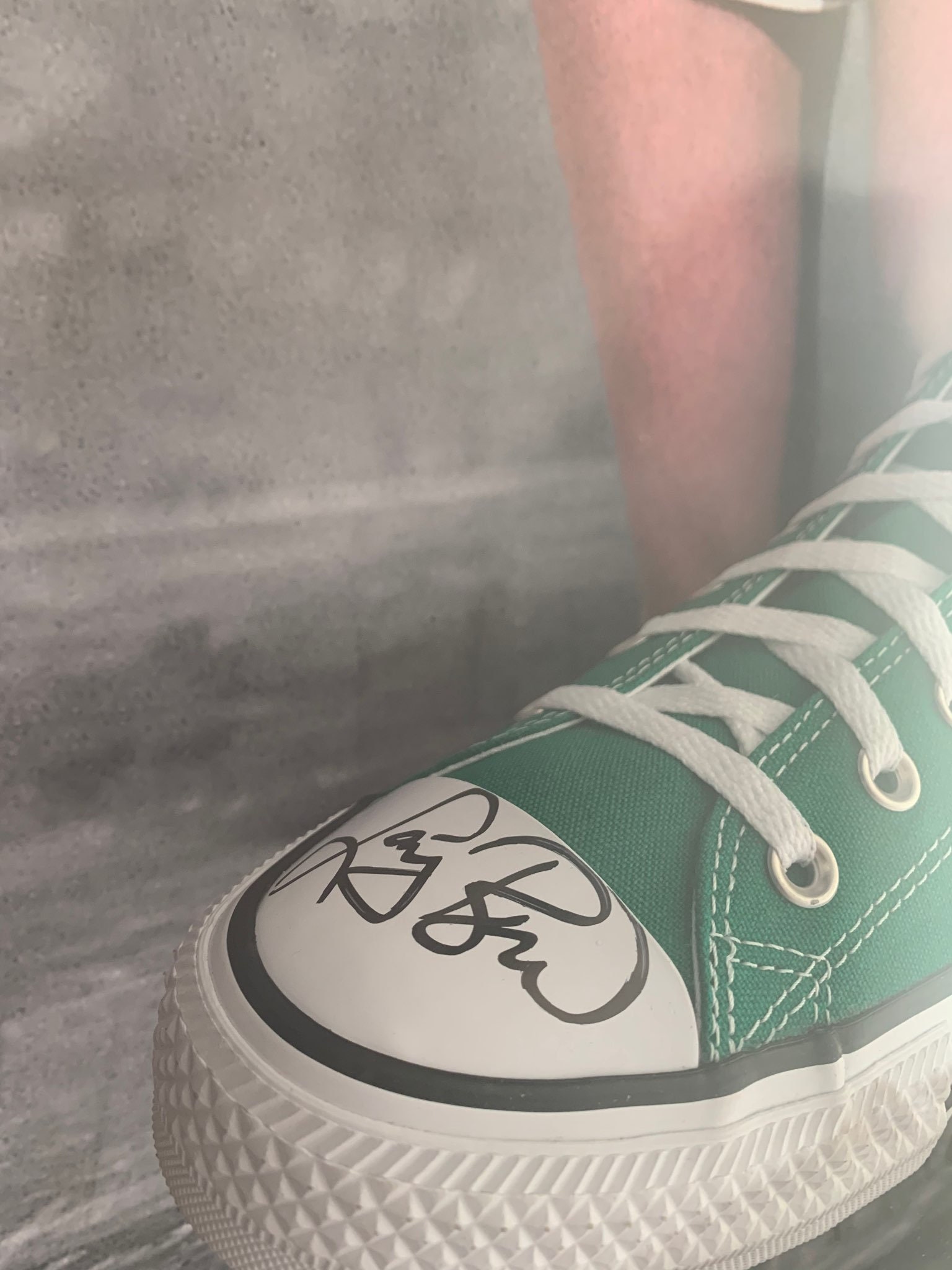 The bird shoe converse store