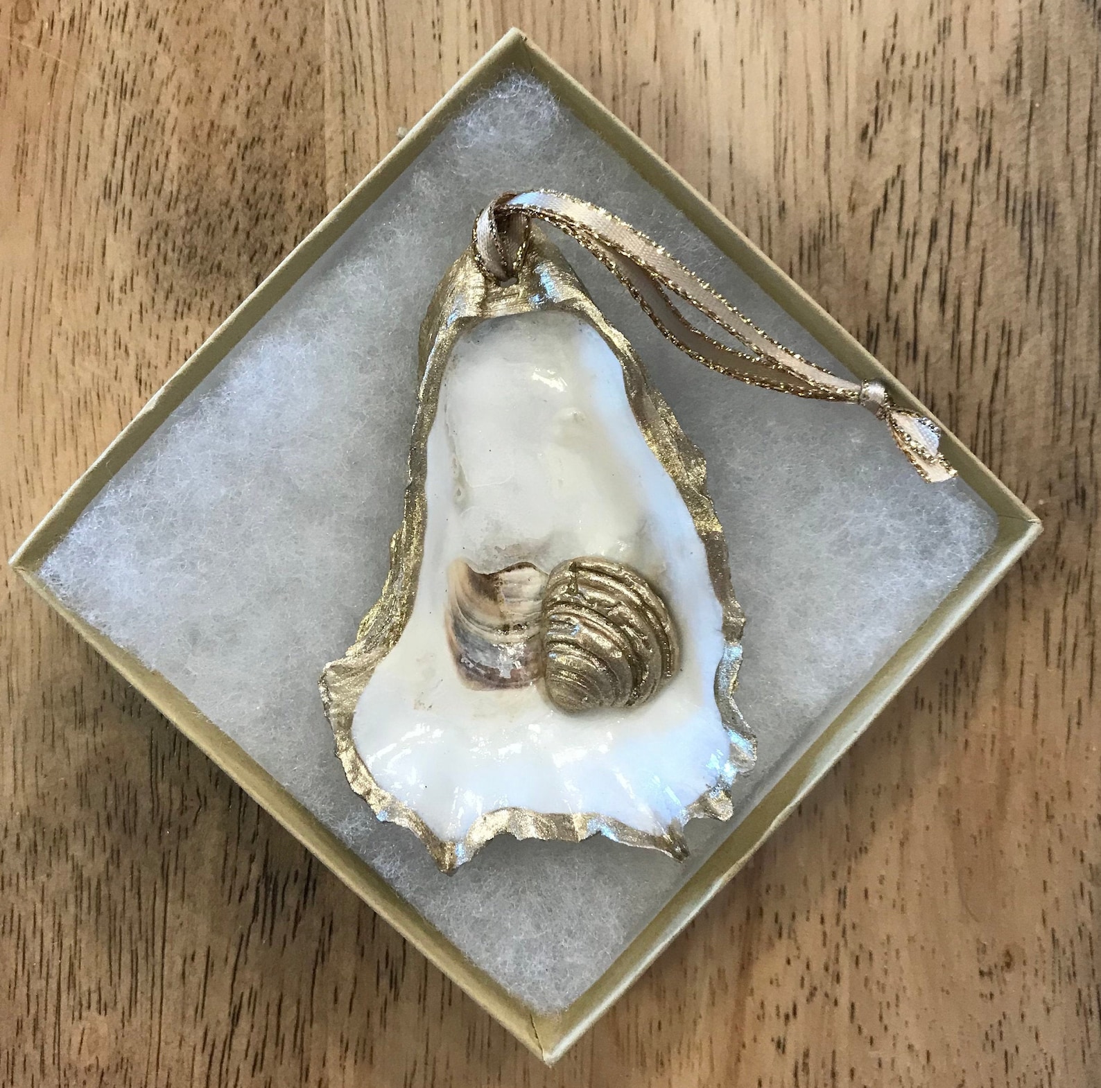 Pawleys Island Shell Oyster Ornament imperial Venus Clam - Etsy