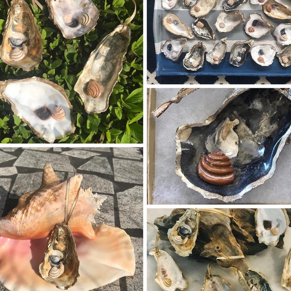 Pawleys Island - Etsy