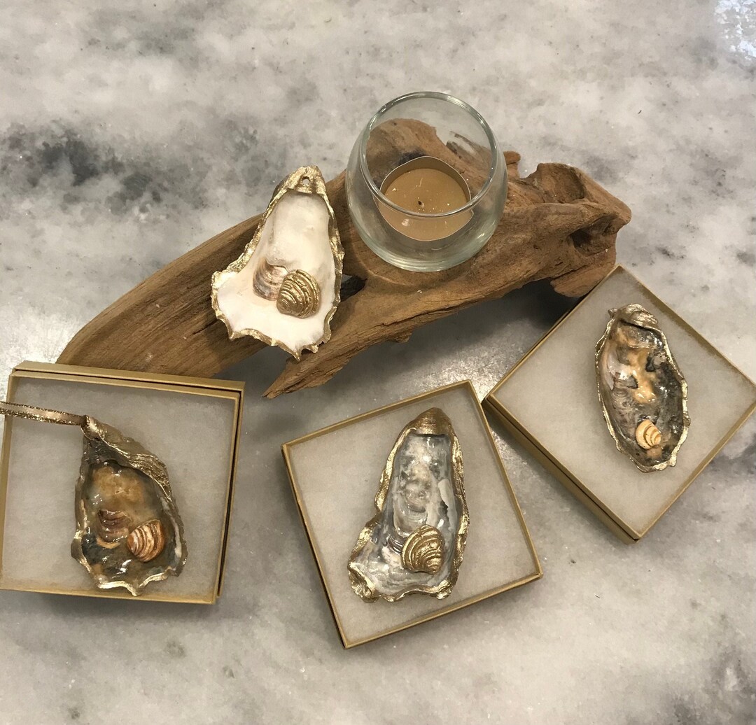 Pawleys Island Shell Oyster Ornament imperial Venus Clam - Etsy
