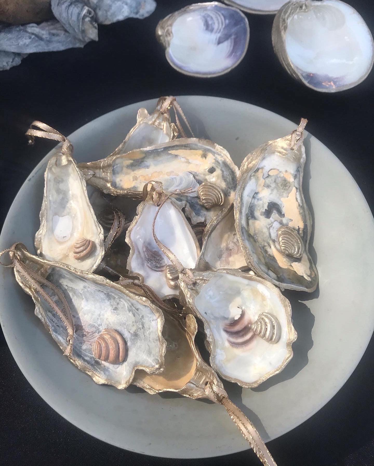 Pawleys Island Shell Oyster Ornament imperial Venus Clam - Etsy