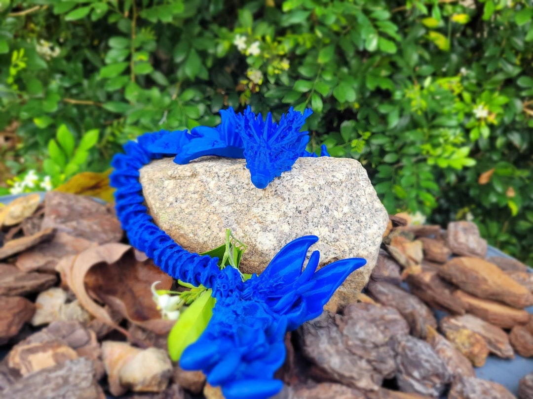 Coral Dragon, Articulated, Sensory Tool - Etsy