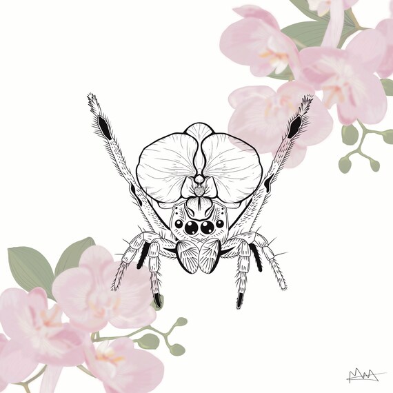 Orchid Spider Digital Print Download | Etsy