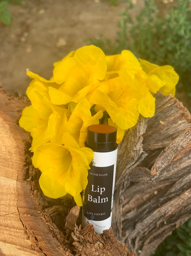 Tinted Shimmer Lip Balm: All-natural Vegan Chapstick With Glitter - Etsy
