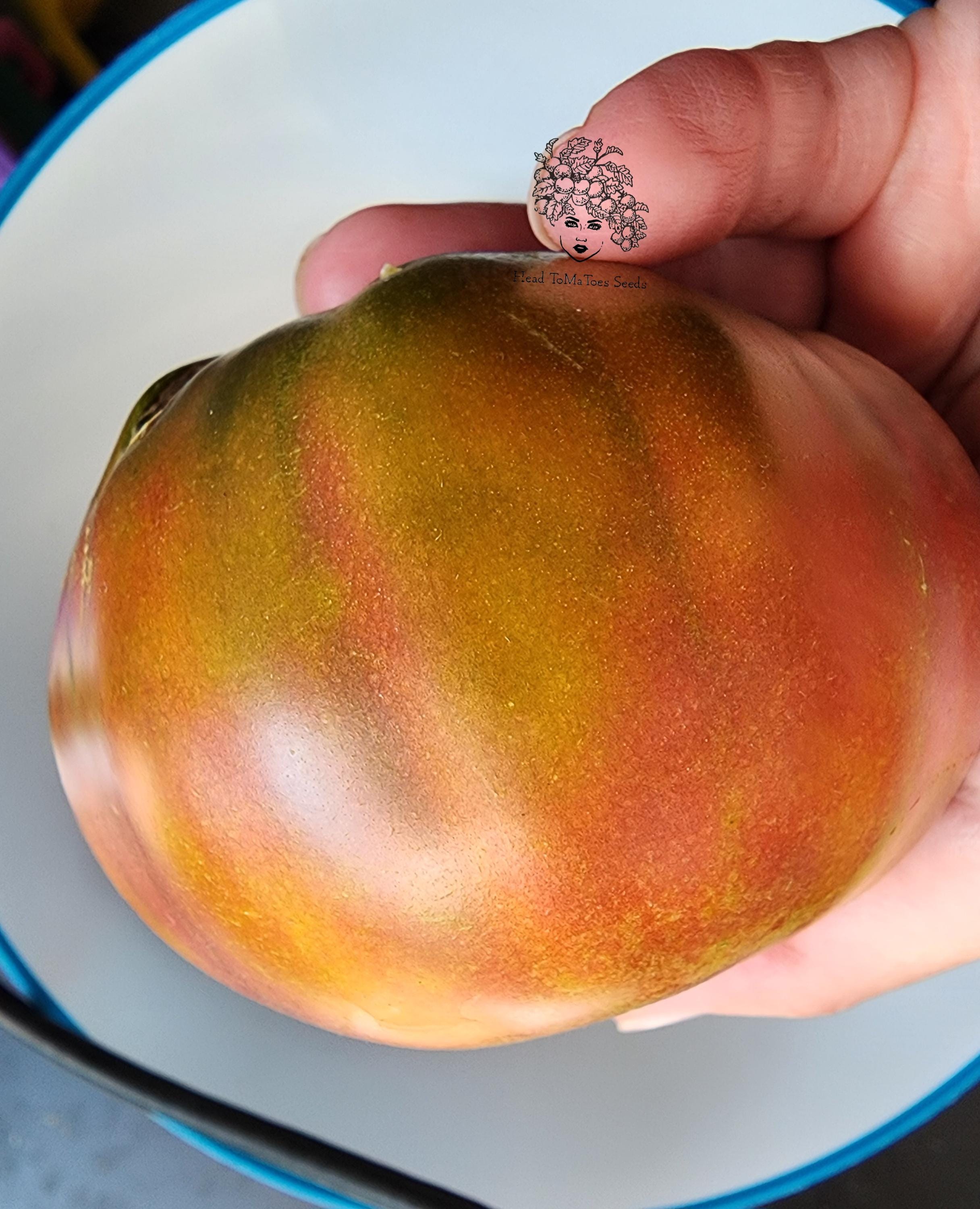 Copperhead Dwarf Tomato Seeds - Etsy