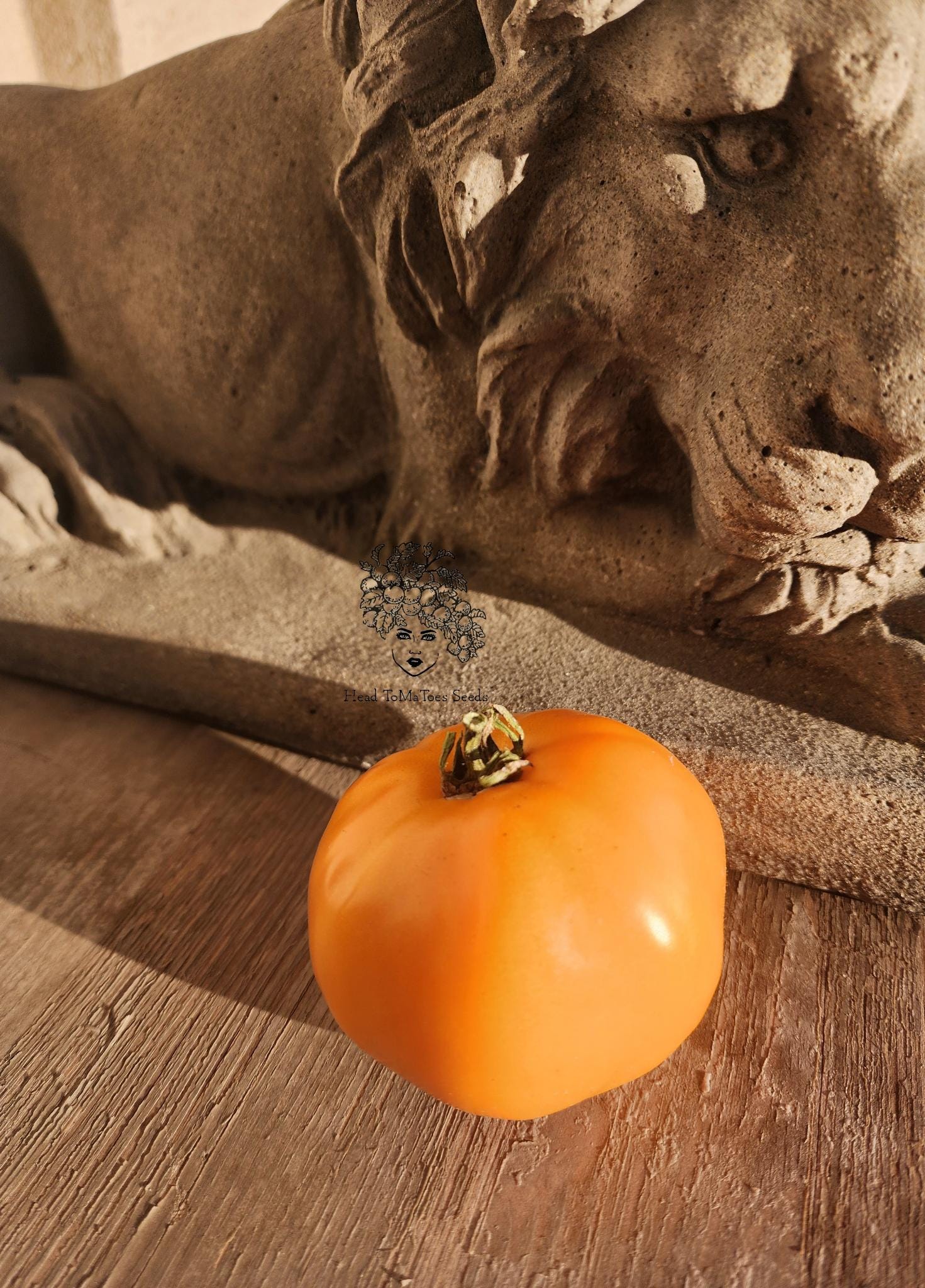 Dad's Sunset Tomato Seeds - Etsy