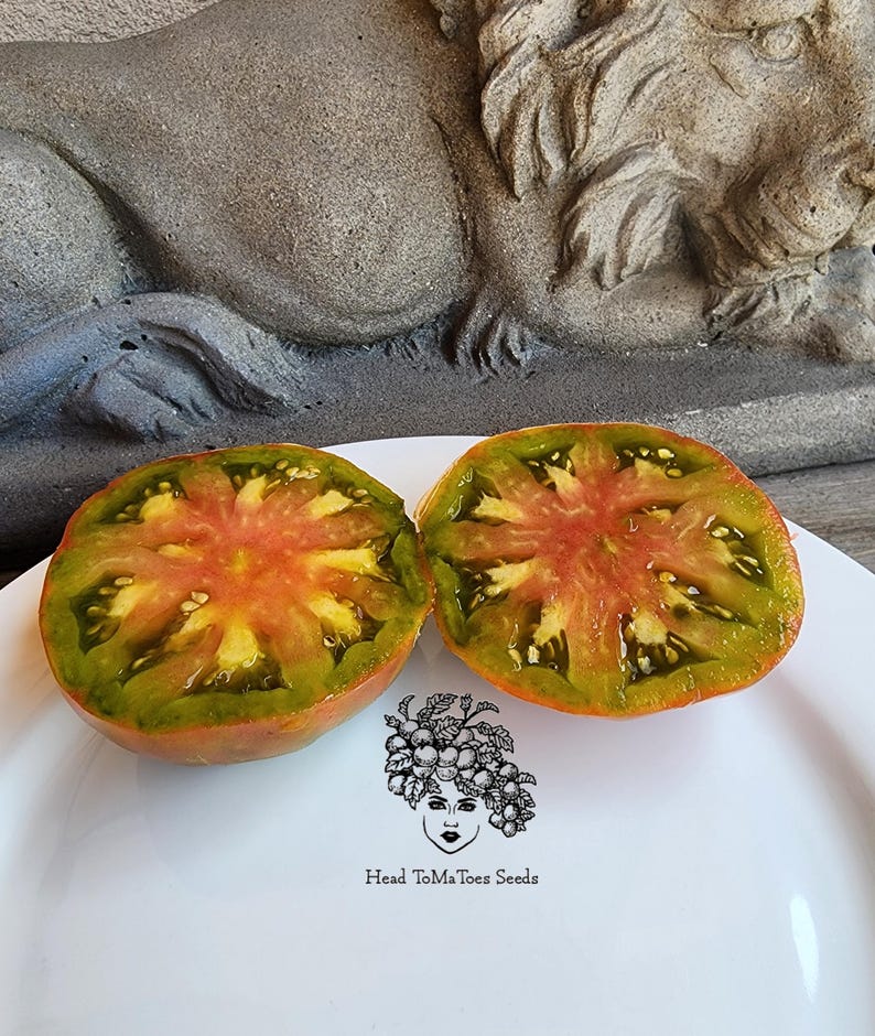 Copperhead Dwarf Tomato Seeds - Etsy