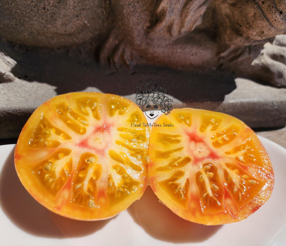 Confetti Dwarf Tomato Seeds - Etsy