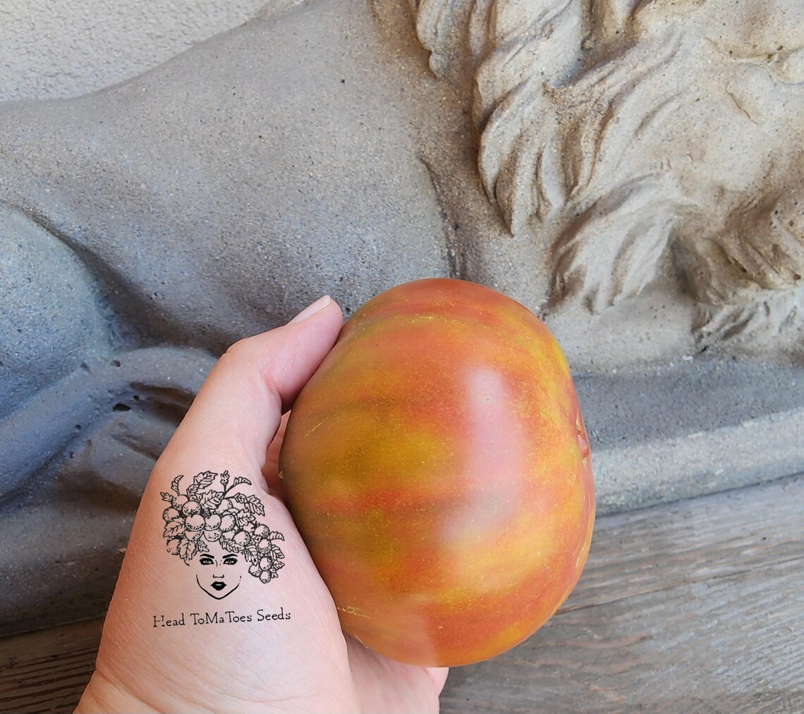 Copperhead Dwarf Tomato Seeds - Etsy