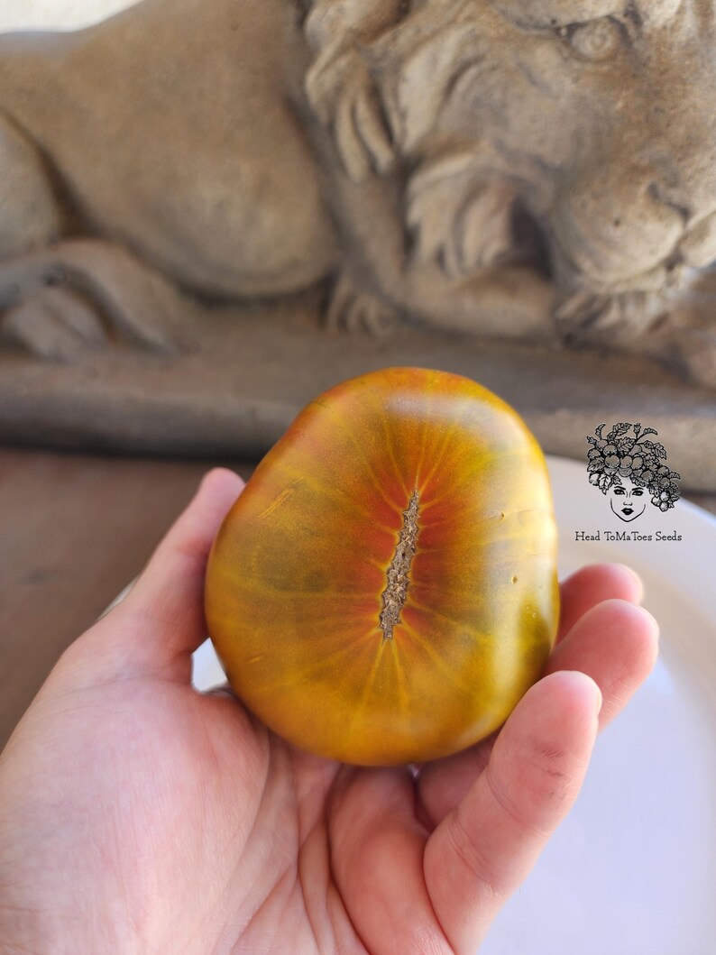 Rusted Soul Tomato Seeds - Etsy