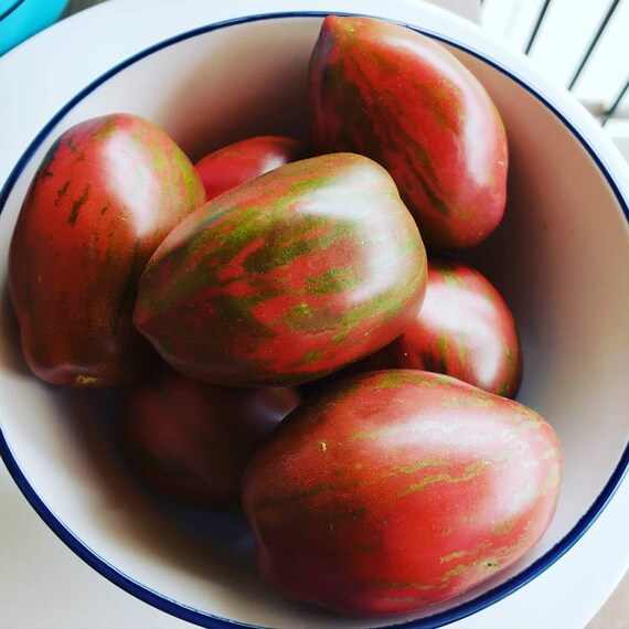 Sweet Tooth Tomato | Etsy