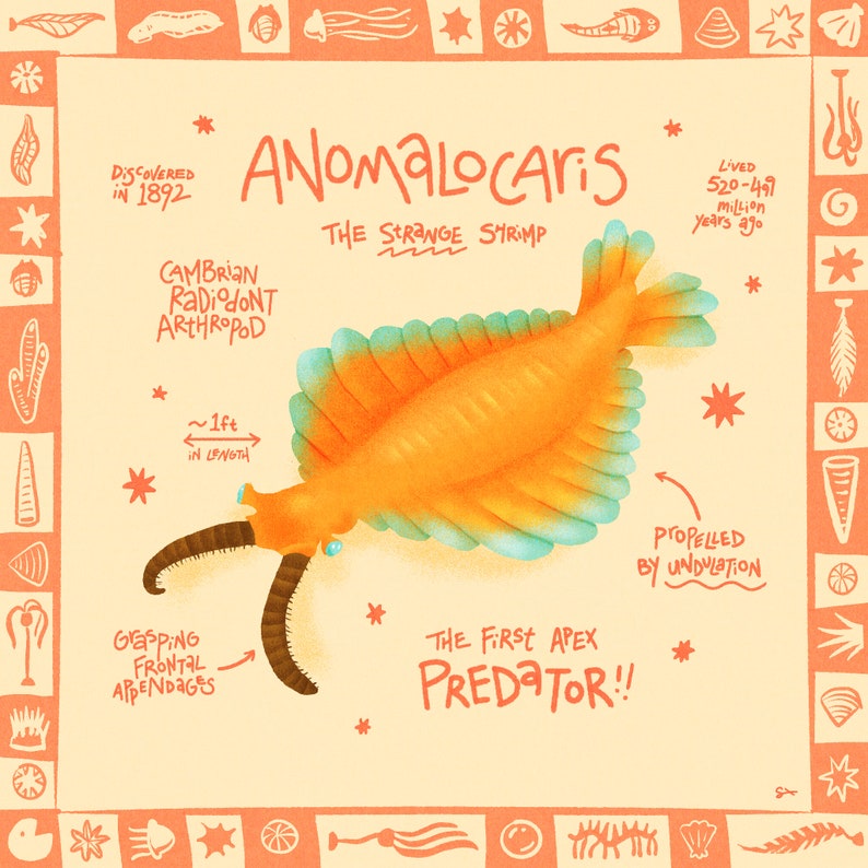 Anomalocaris, Cambrian Sea Creature Sticker, Die Cut Vinyl, Journaling ...